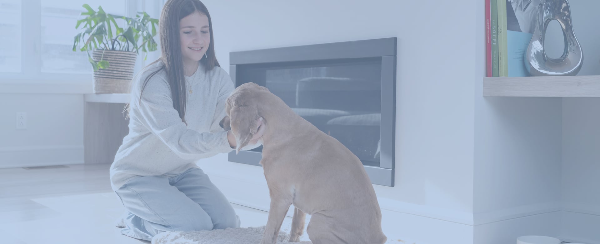 BEAM Premium Central Vacuum Systems